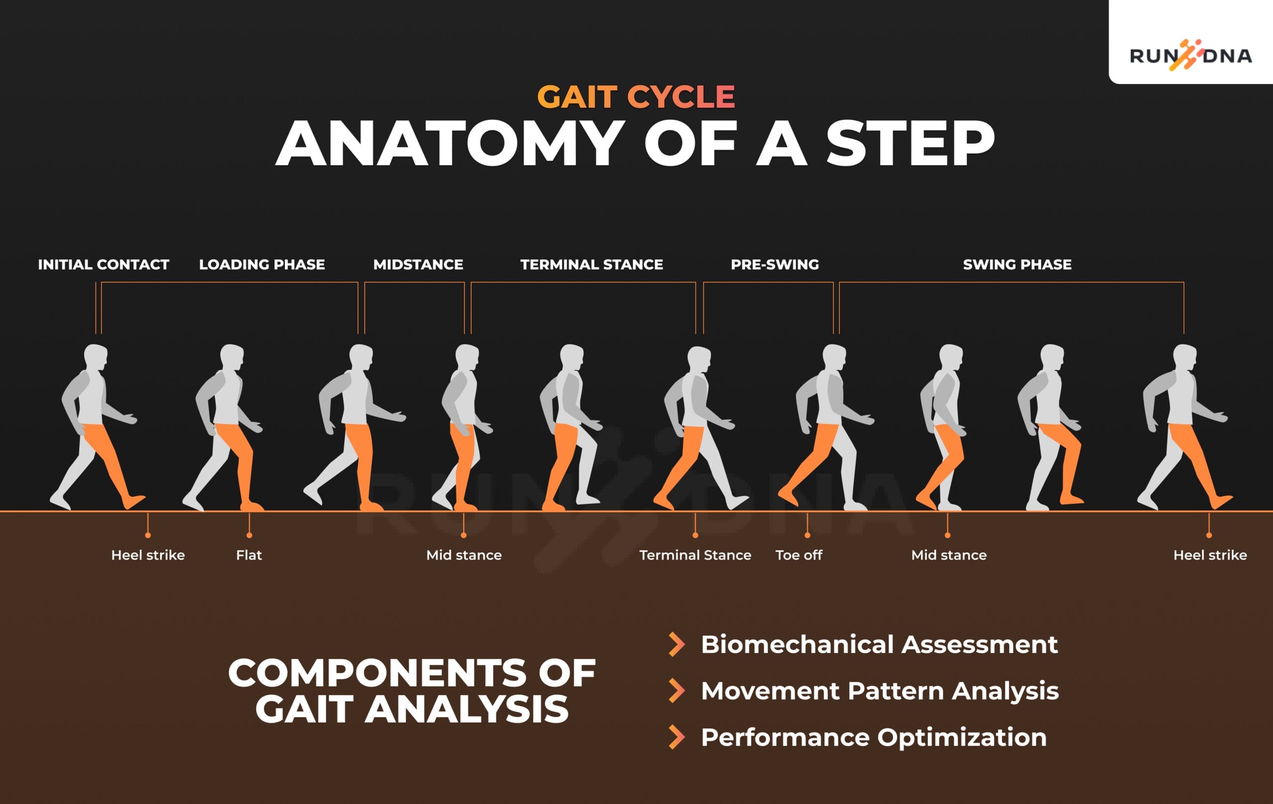 What Is a Gait Analysis?: The Science Behind Your Step - RunDNA